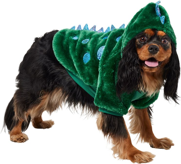 Dinosaur Dog Toy (Free Shipping) | Chewy