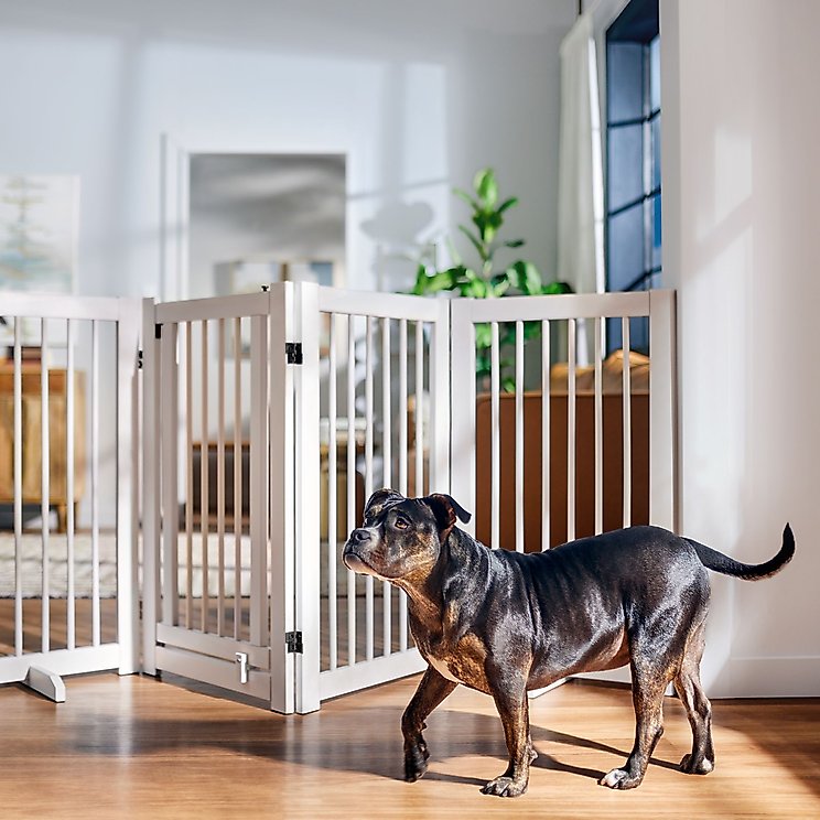 LARGE DOG GATES (Free Shipping) | Chewy