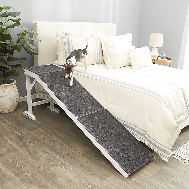 Dog Ramps - Free shipping | Chewy