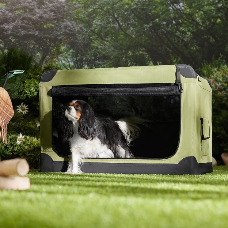 Indoor Dog Kennels (Free Shipping) | Chewy