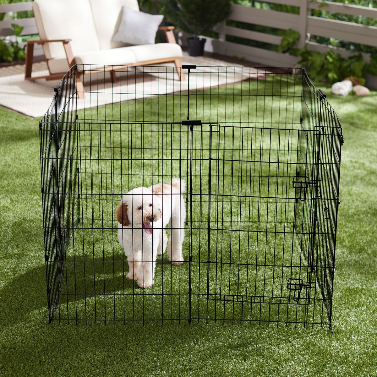 FRISCO Dog & Small Pet Wire Exercise Pen with Step-Through Door, Black ...