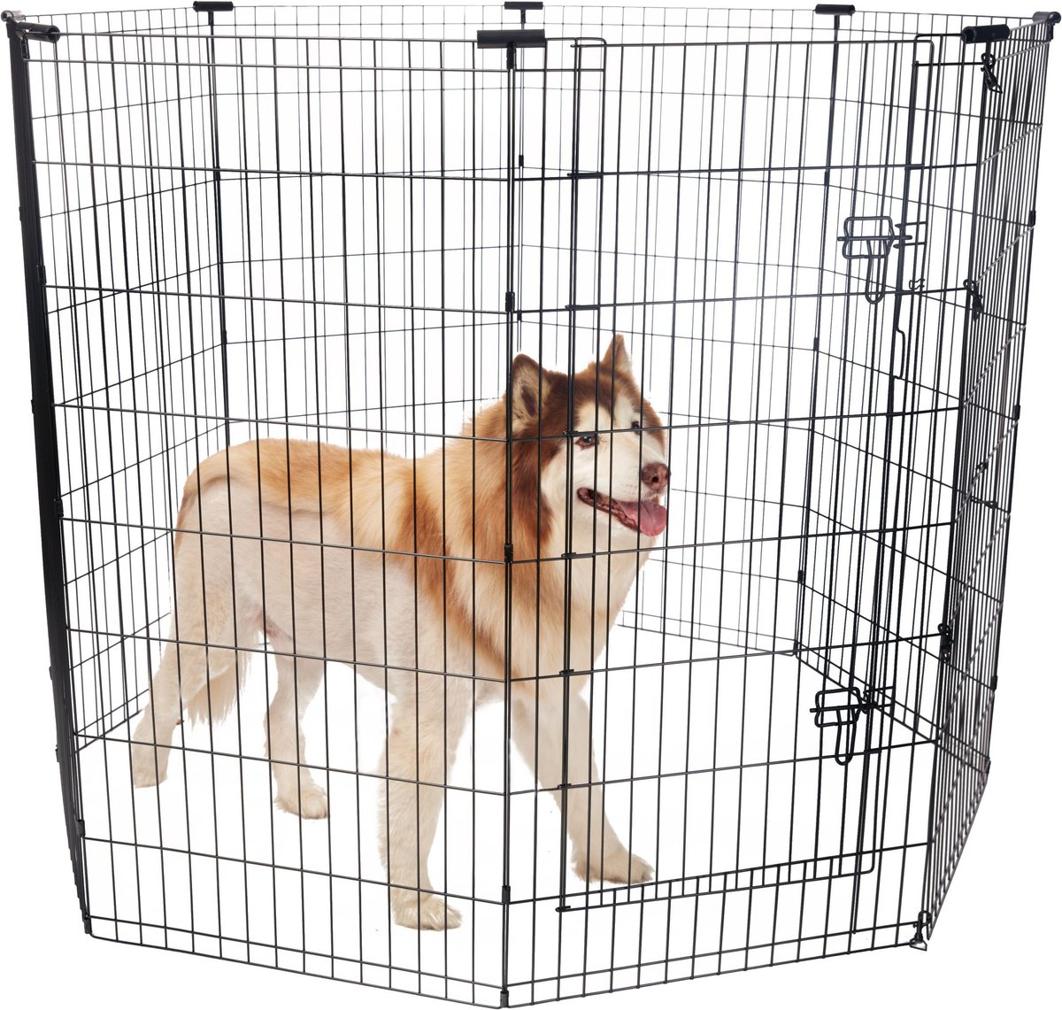 FRISCO Dog & Small Pet Wire Exercise Pen with Step-Through Door, Black ...