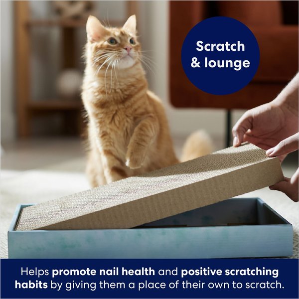 FRISCO Double-Wide Cat Scratcher Toy Refill with Catnip, 2 count - Chewy.com