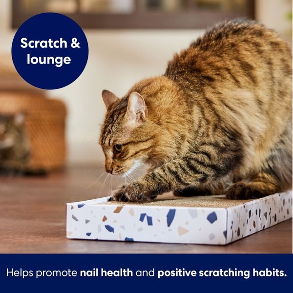 FRISCO Double-Wide Cat Scratcher Toy with Catnip, 1 count, Modern ...
