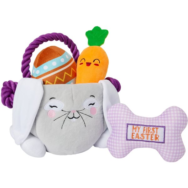 HUNGER FOR WORDS Talking Pet Starter Set Dog Toy, 4-pack - Chewy.com