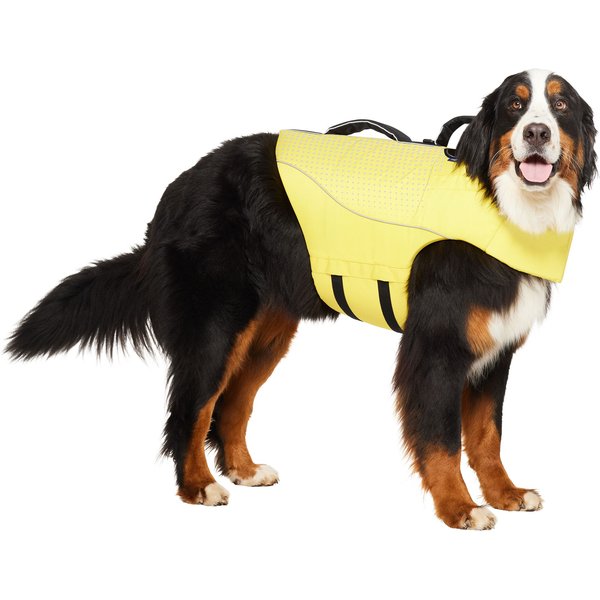ZIPPYPAWS Adventure Dog Life Jacket, X-Large - Chewy.com
