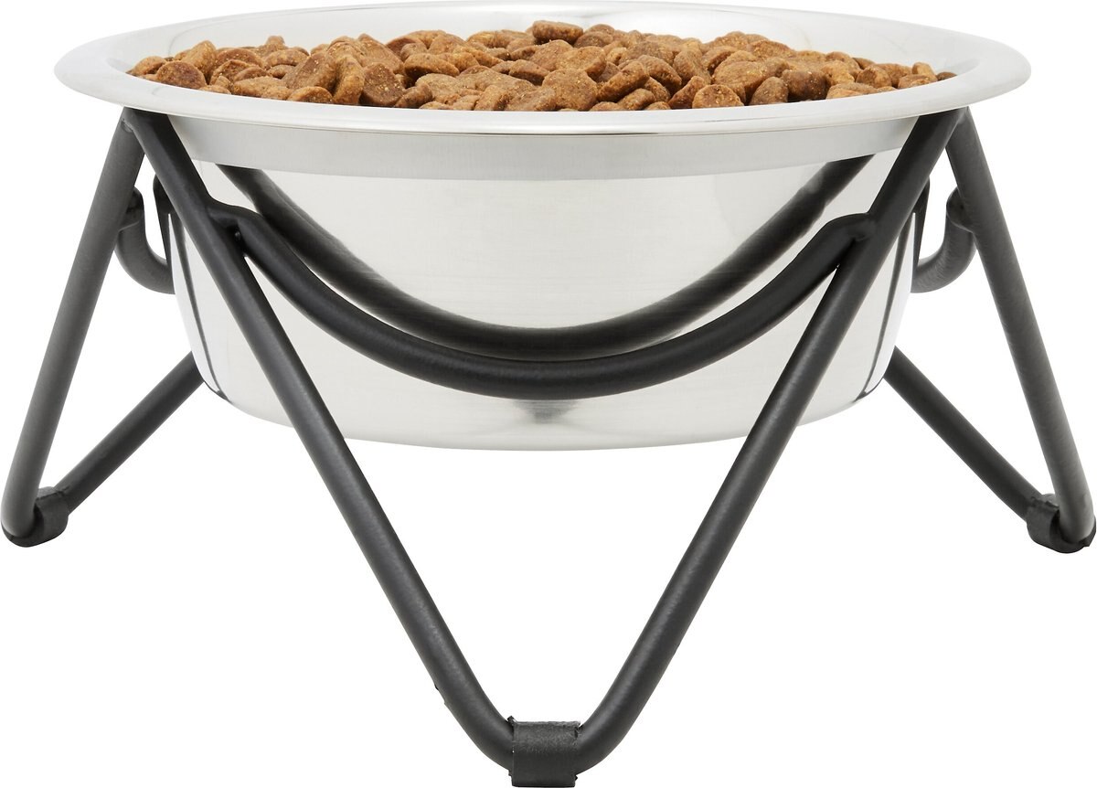Out of Stock - FRISCO Elevated Triangle Iron Stand Dog & Cat Single ...