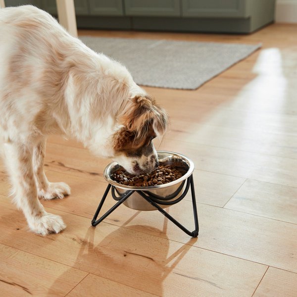 Out of Stock - FRISCO Elevated Triangle Iron Stand Dog & Cat Single ...