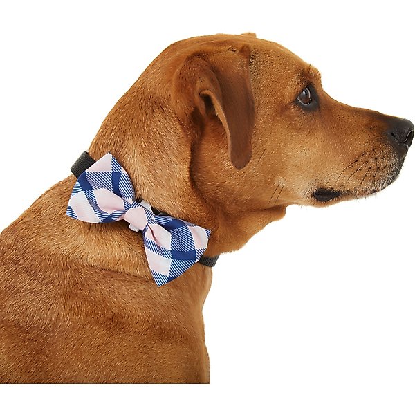 ACCENT FASHION Metallic Dog Collar Embellishment, Burgundy Bow - Chewy.com
