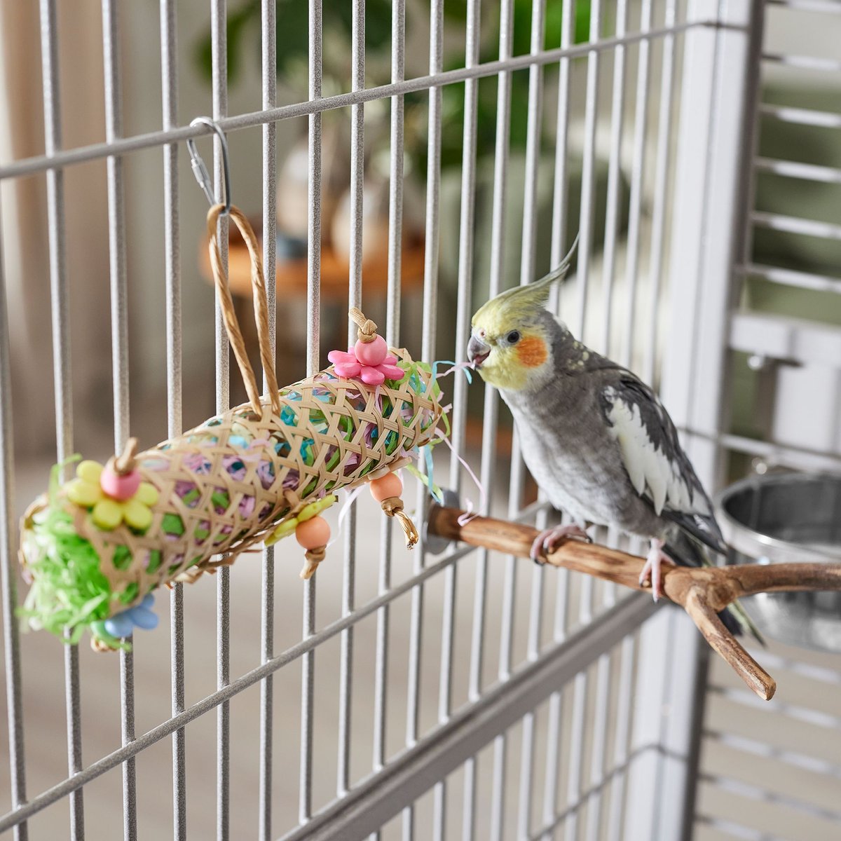 Out of Stock - FRISCO Flower Net Bird Foraging Toy - Chewy.com