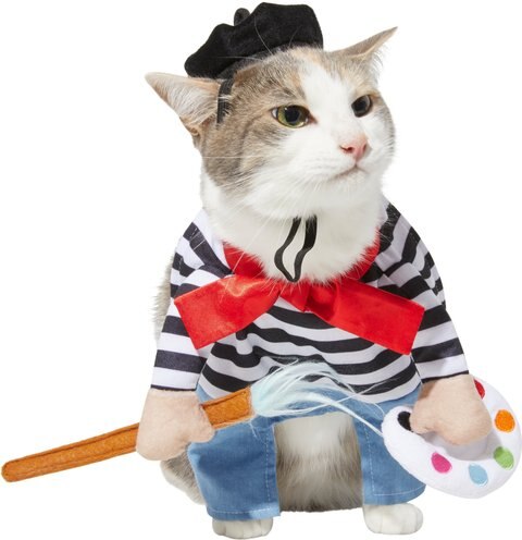 Cat Halloween Costumes & Clothing - Free shipping | Chewy