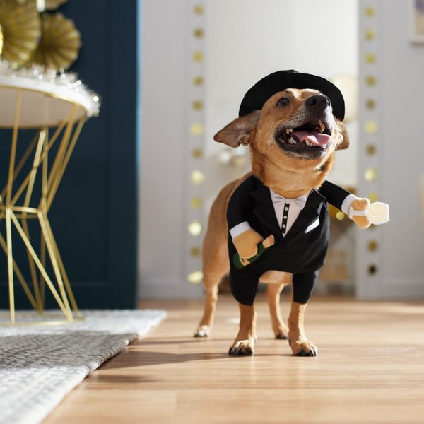 Discontinued - FRISCO Front Walking New Years Tuxedo Dog & Cat Costume, XX-Large - Chewy.com