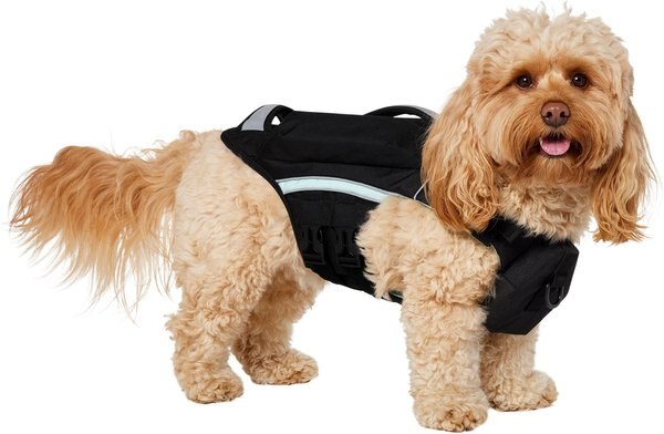 FRISCO Full Coverage Dog Life Jacket, Blue/Black, Medium - Chewy.com