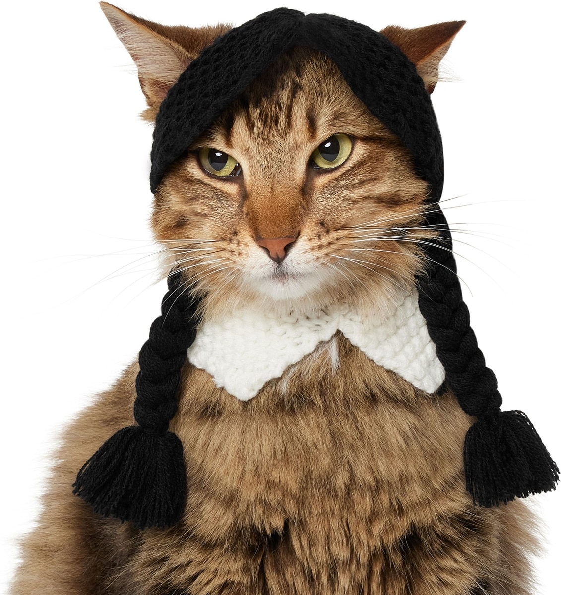 Out of Stock - FRISCO Gothic School Girl Dog & Cat Costume Accessory, X ...