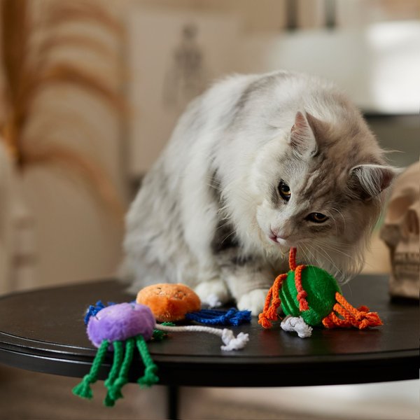 Out of Stock - FRISCO Halloween Cutie Spiders Plush Cat Toy with Catnip ...