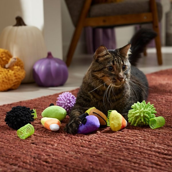 Out of Stock - FRISCO Halloween Spring, Moppy Ball & Plush Variety Pack ...
