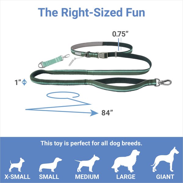 FRISCO Hands-Free Running Dog Leash - Chewy.com