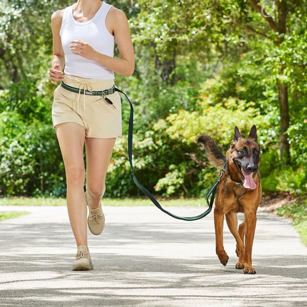 FRISCO Hands-Free Running Dog Leash - Chewy.com
