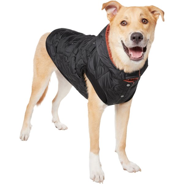 Discontinued - FRISCO Lightweight Insulated Bomber Dog & Cat Jacket ...