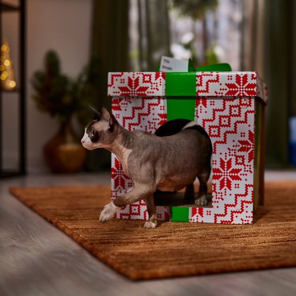 FRISCO Holiday Gift Box Cardboard Cat House - Chewy.com