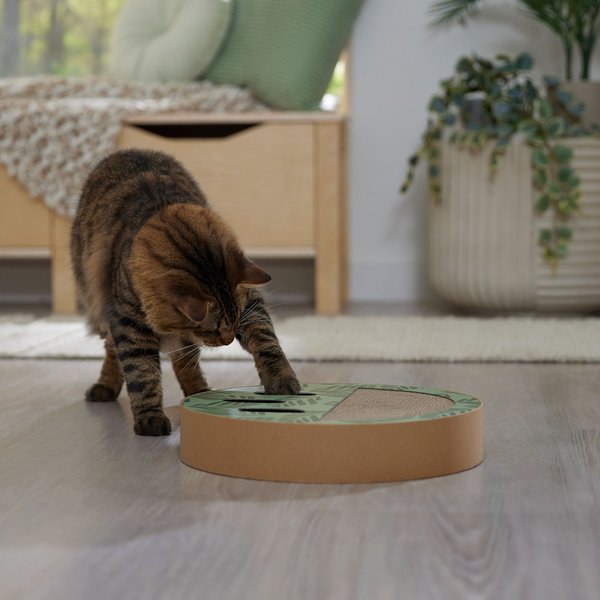 FRISCO Interactive Maze & Scratch Cardboard Cat Toy with Catnip, Palms ...