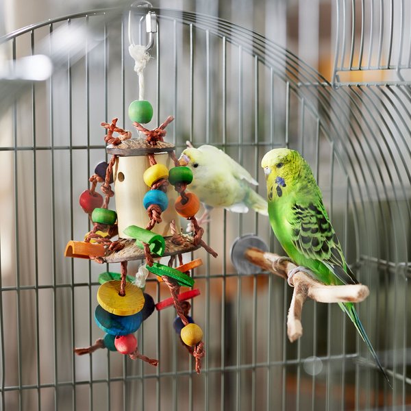 Out of Stock - FRISCO Knotted Activity Cluster Bird Toy - Chewy.com