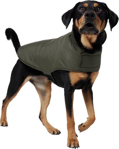 DOG JACKETS FOR LARGE BREEDS (Free Shipping) | Chewy