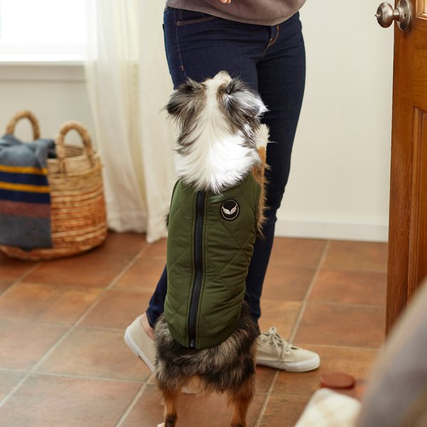 FRISCO Lightweight Insulated Bomber Dog & Cat Jacket, Olive, Large ...