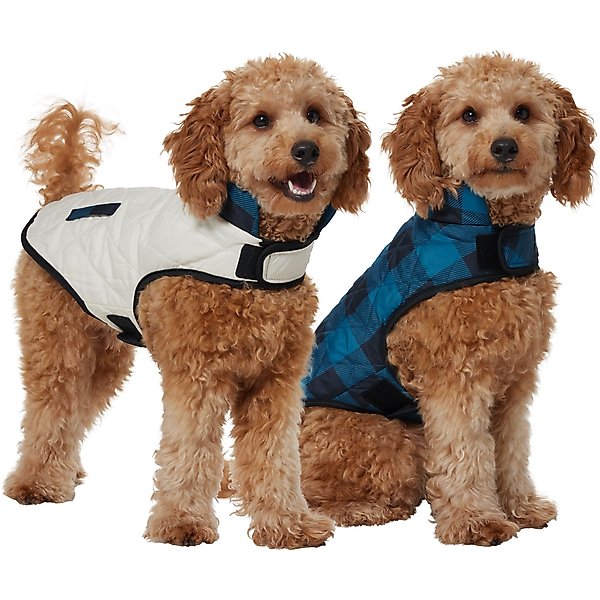 Out of Stock - FRISCO Lightweight Quilted Water-Resistant Reversible ...