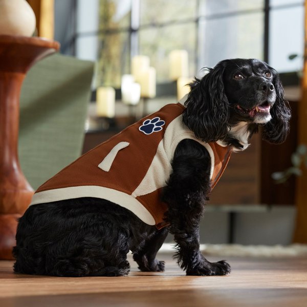 Discontinued - FRISCO Lightweight Varsity Dog & Cat Jacket, Tan, Small ...