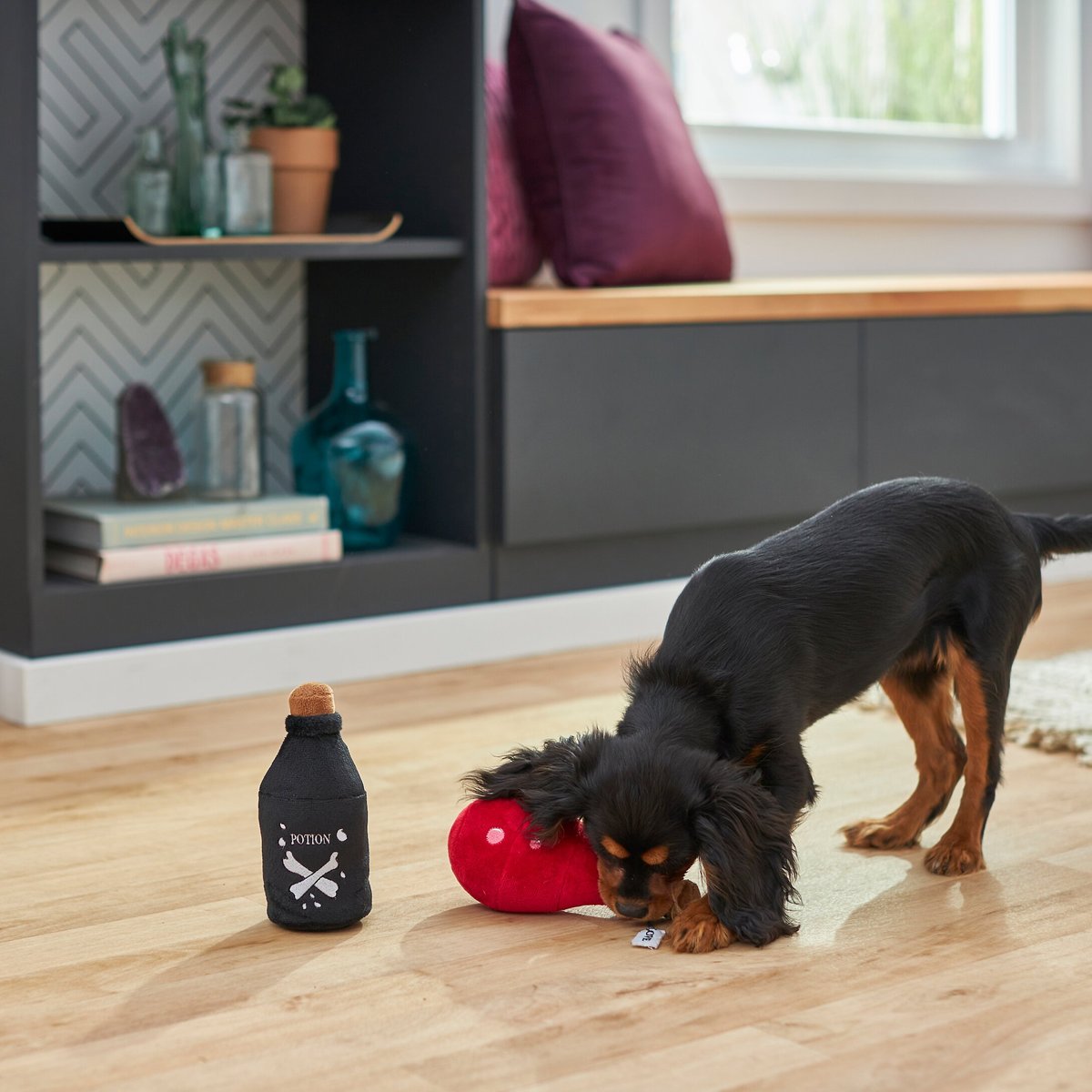 FRISCO Magic Potions Plush Squeaky Dog Toy - Chewy.com