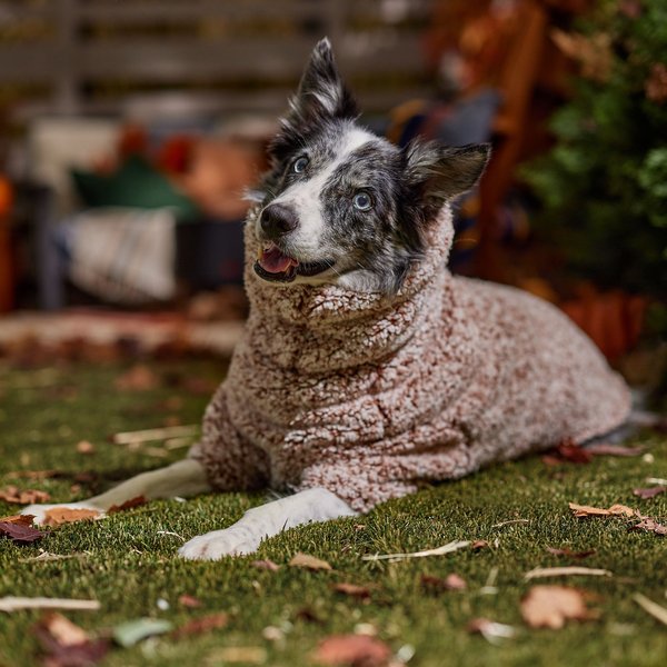 FRISCO Medium Weight Double Layer Sherpa Dog Coat with Built in Snood ...