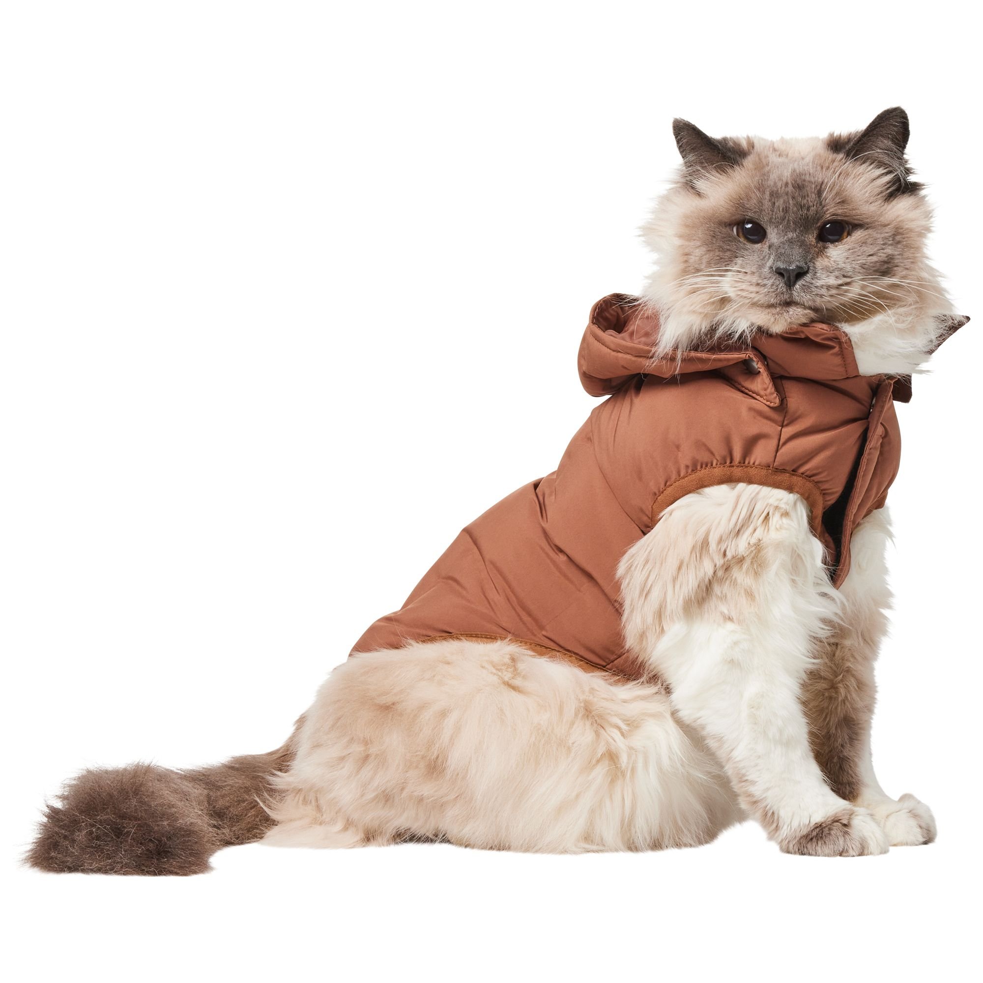 Questions and Answers about FRISCO Mediumweight Quilted Dog & Cat ...