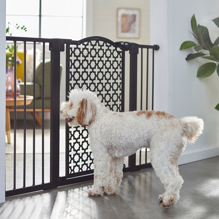 Pressure Mounted Cat Gates: Low Prices (Free Shipping) | Chewy
