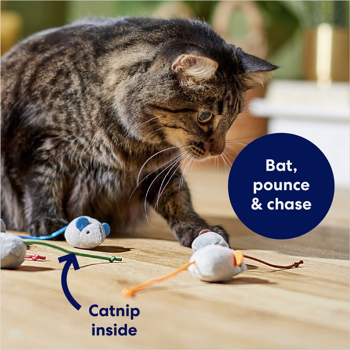 FRISCO Mice Plush Cat Toy with Catnip, 5 count - Chewy.com