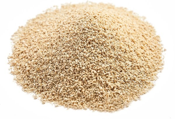 FRISCO Natural Lightly Scented Clumping Grass Cat Litter, 20-lb bag ...