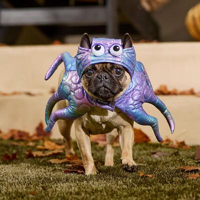 Temporarily Unavailable - FRISCO Octopus Dog & Cat Costume, Small ...