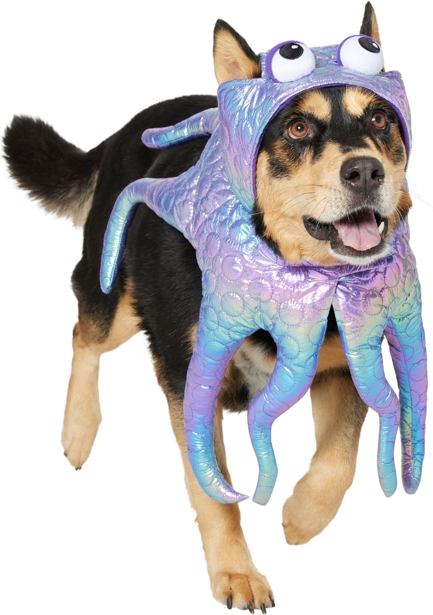 Temporarily Unavailable - FRISCO Octopus Dog & Cat Costume, XX-Large ...
