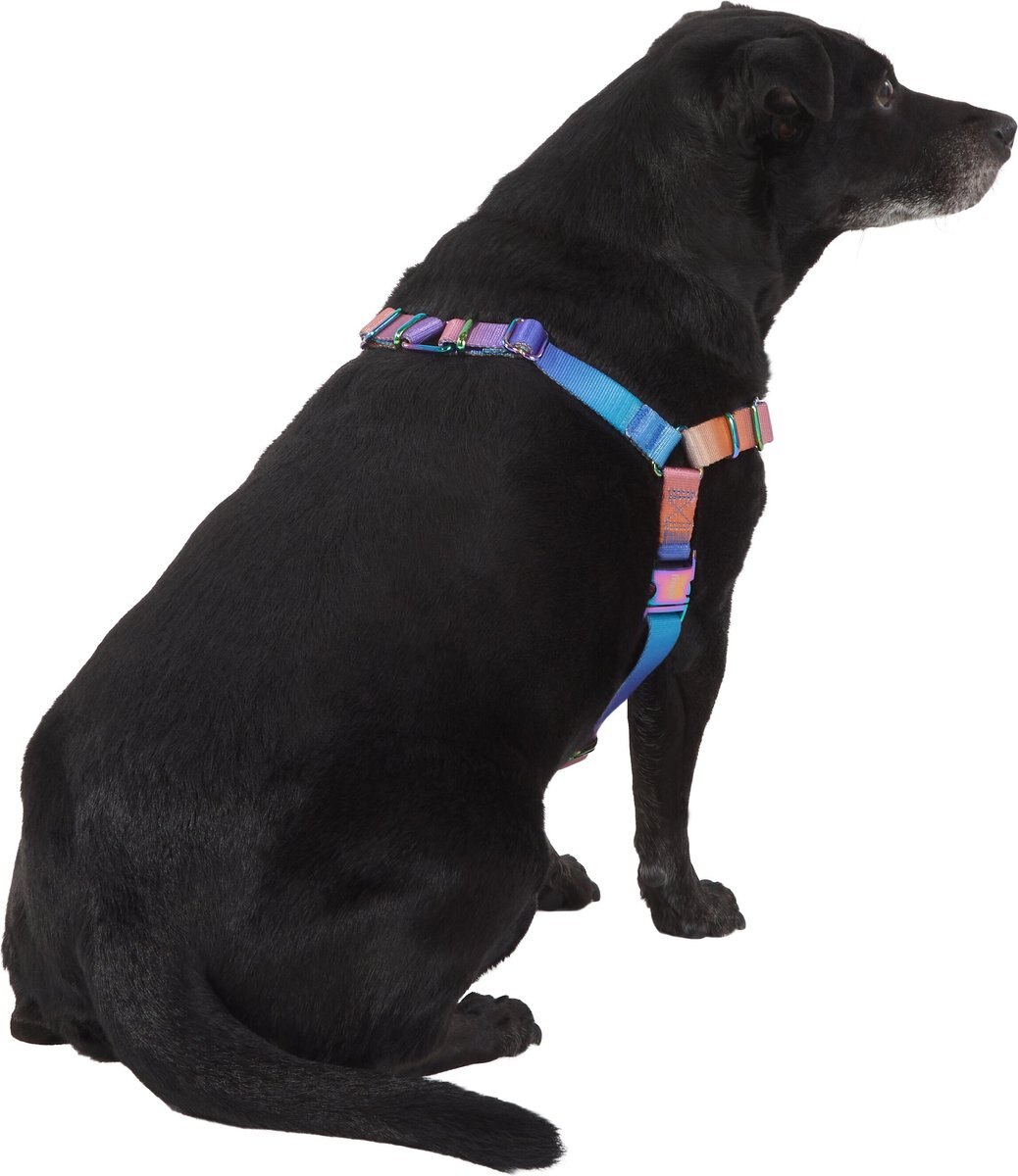 FRISCO Outdoor Purple Ombre Style Dog Harness, S - Girth: 16-22-in ...