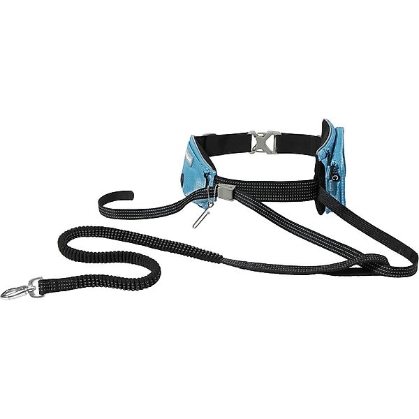 FRISCO Outdoor Running Belt with Bungee Dog Leash, Blue, ML - Chewy.com