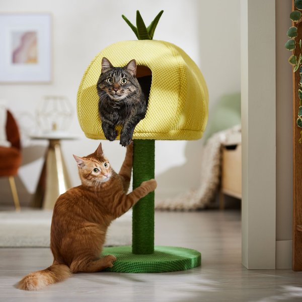 FRISCO Pineapple 33.5" Plush Cat scratching Post and Condo - Chewy.com