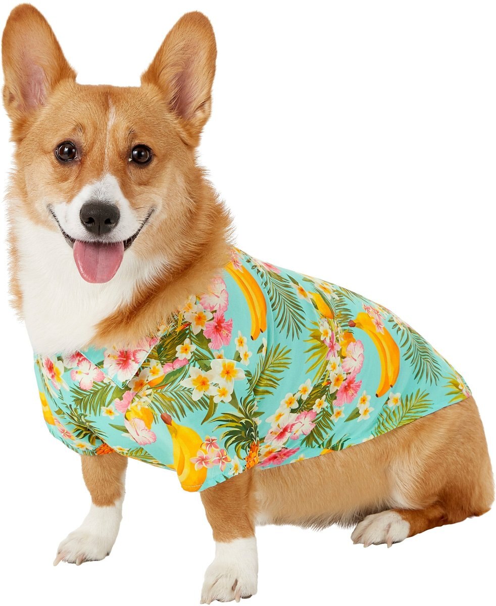 FRISCO Pineapple Hawaiian Camp Dog & Cat Shirt, Large - Chewy.com