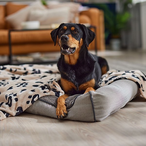 FRISCO Long Faux Fur Cat & Dog Throw Blanket, Silver, Large - Chewy.com