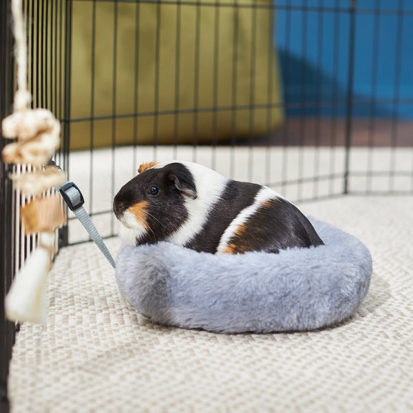 FRISCO Plush Small Pet Snuggle Ball, Gray - Chewy.com
