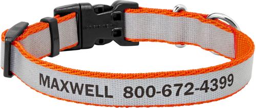 FRISCO Polyester Personalized Reflective Dog Collar, Orange, XS - Neck ...