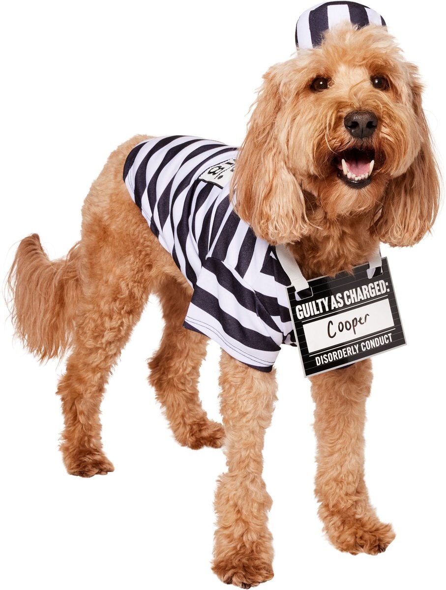 FRISCO Prisoner Dog & Cat Costume, Large - Chewy.com