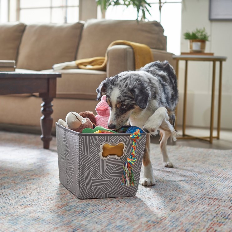 Dog Toy Boxes & Storage Bins (Free Shipping) | Chewy