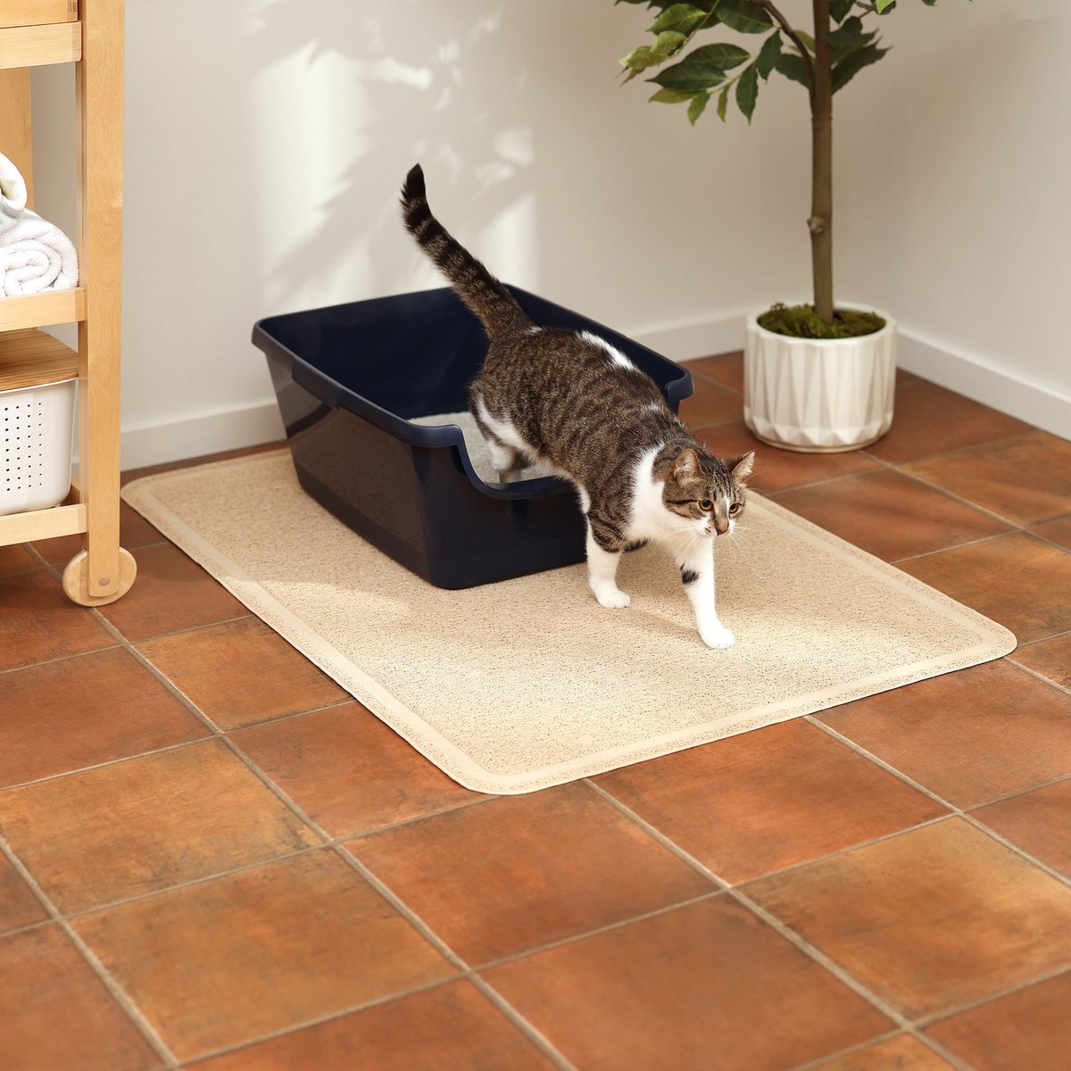 FRISCO Rectangular Cat Litter Mat, Beige, X-Large - Chewy.com