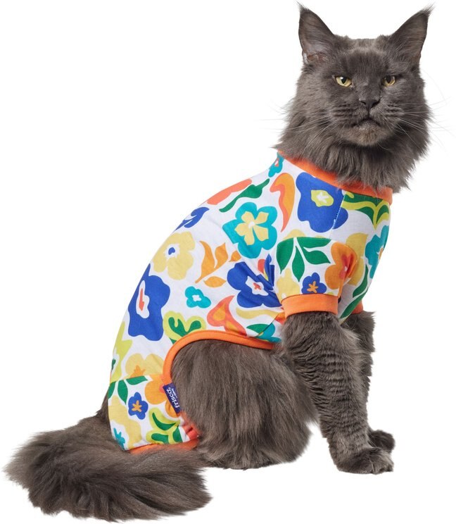 Pajamas for Cats: Cat PJs, Onesies & More (Free Shipping | Chewy