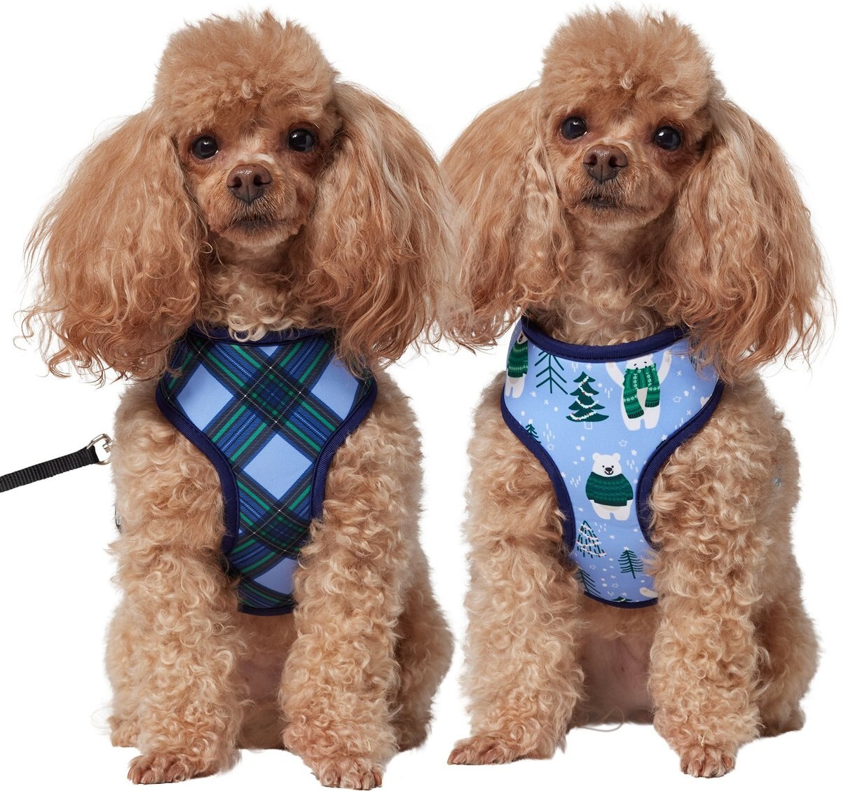 FRISCO Reversible Holiday Polar Bears Dog Harness (Patent Pending ...